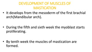MUSCLES OF MASTICATION and chewing cycle | PPTX