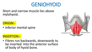 MUSCLES OF MASTICATION and chewing cycle | PPTX