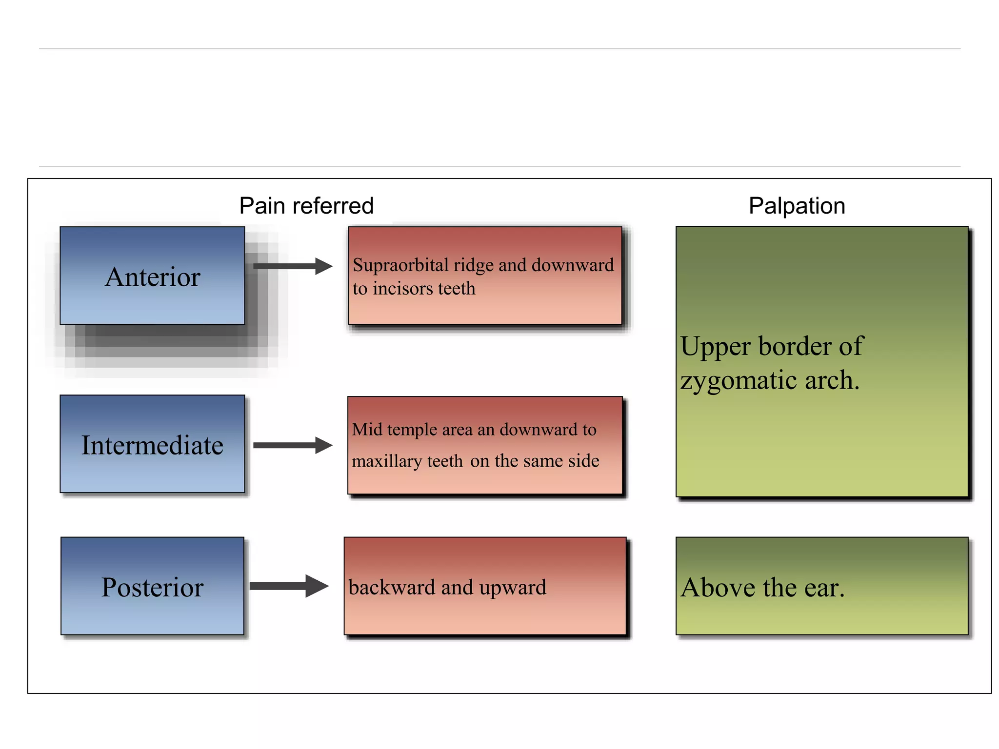 Muscles of mastication powerpoint | PPTX