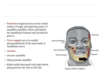 Muscles of mastication powerpoint | PPTX