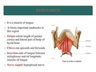 Muscles of mastication powerpoint | PPTX