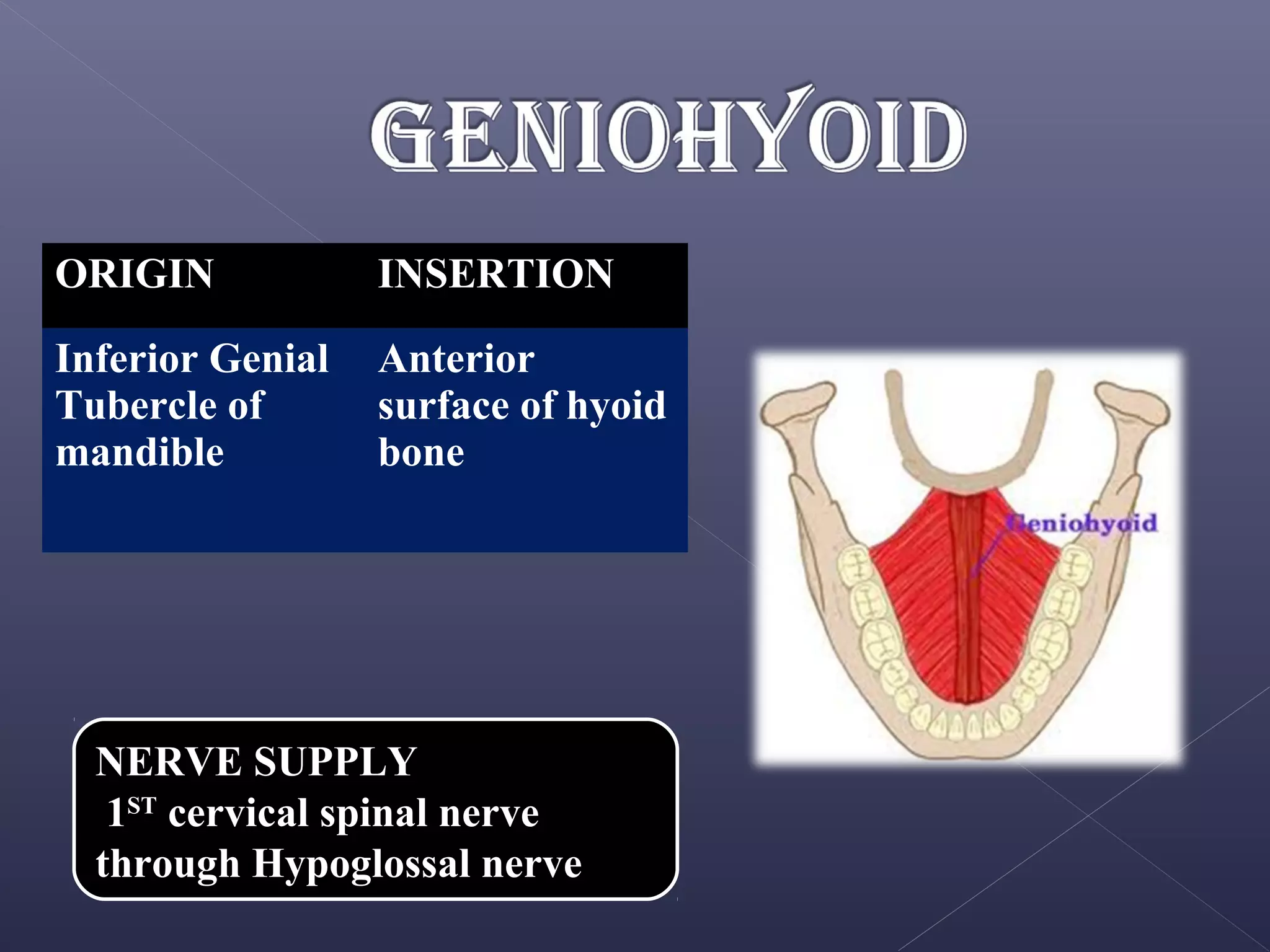 Muscles of mastication ppt | PPT