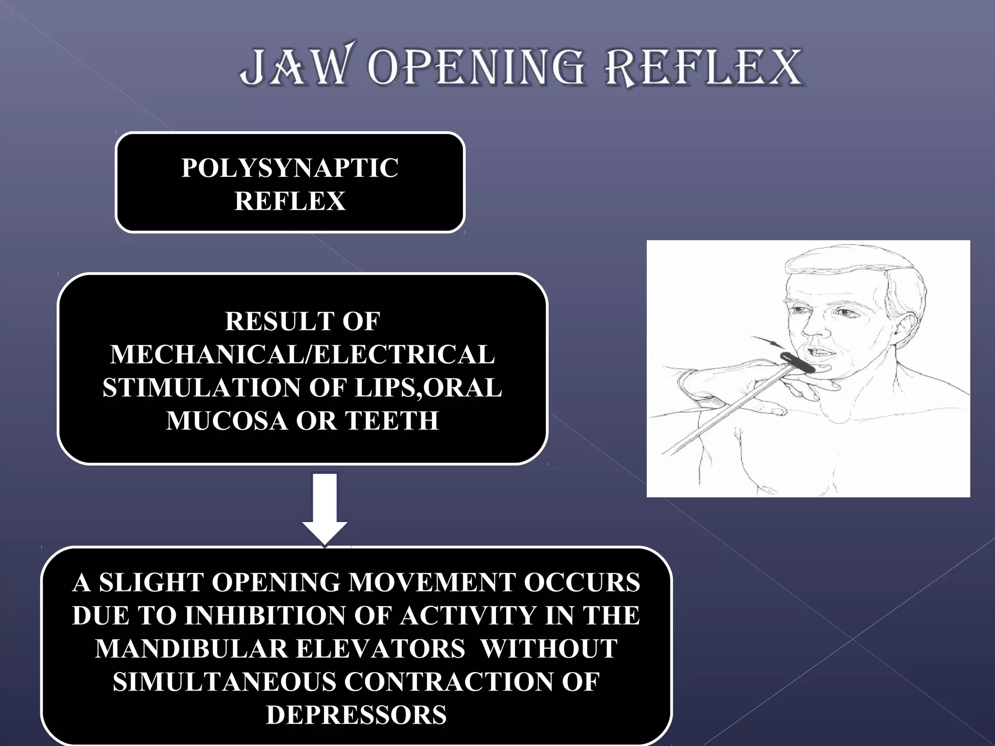 Muscles of mastication ppt | PPT
