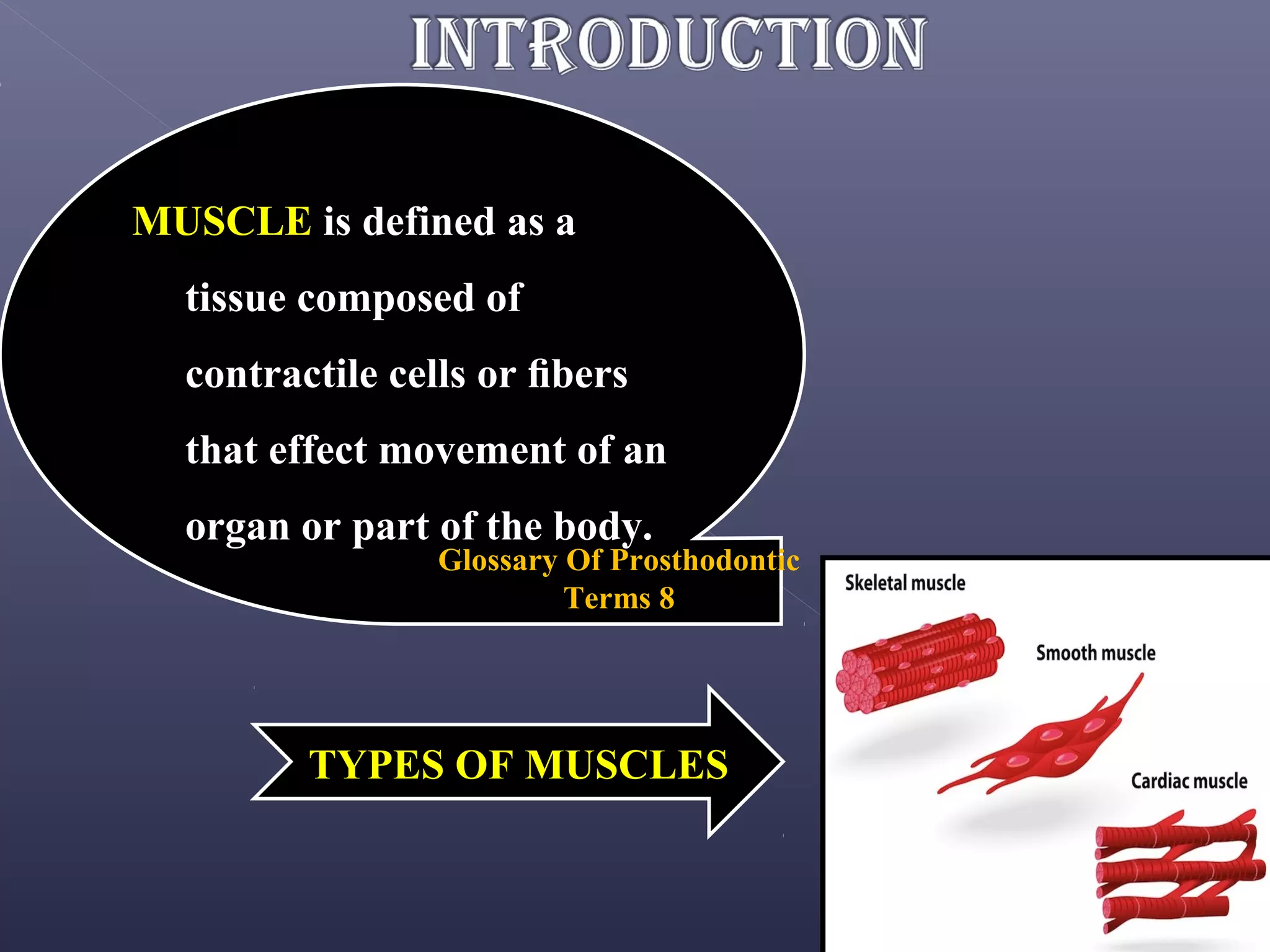 Muscles of mastication ppt | PPT