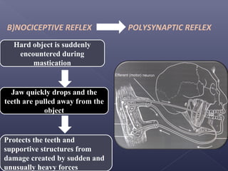 Muscles of mastication ppt | PPT