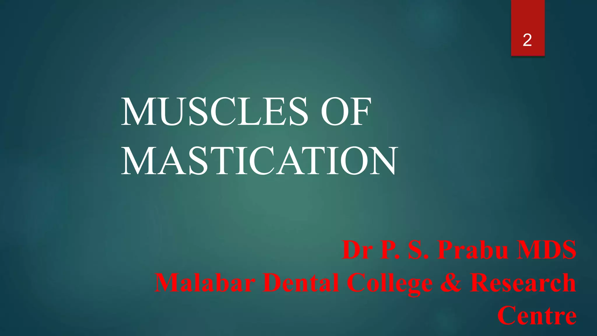 Muscles of mastication ppt | PPTX