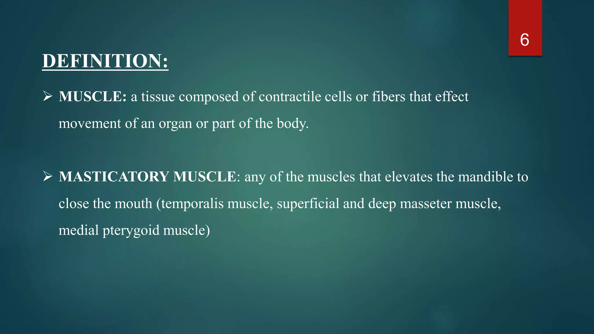 Muscles of mastication ppt | PPTX