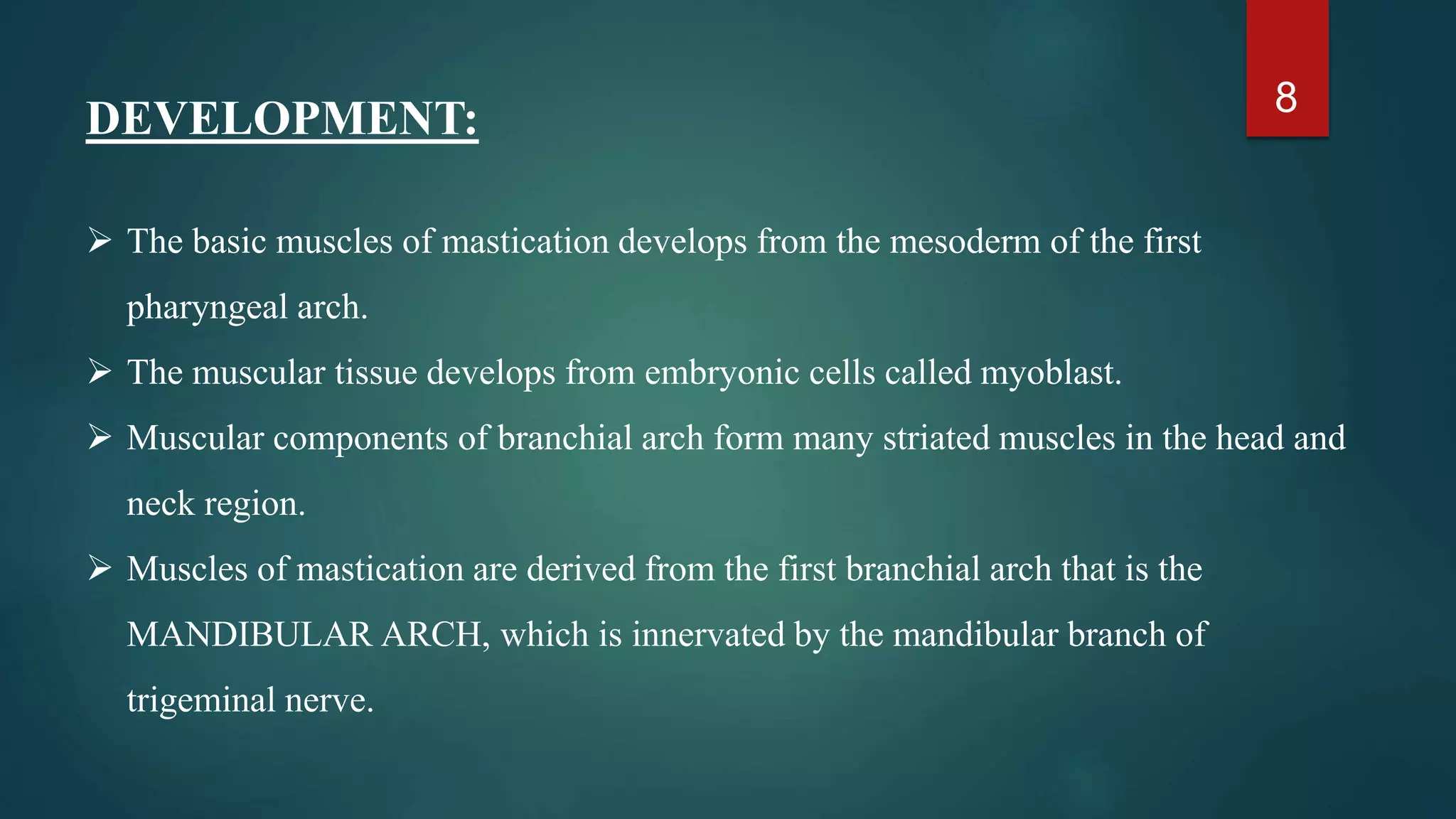 Muscles of mastication ppt | PPTX