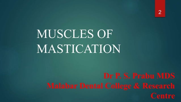 Muscles of mastication ppt | PPTX