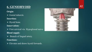Muscles of mastication ppt | PPTX