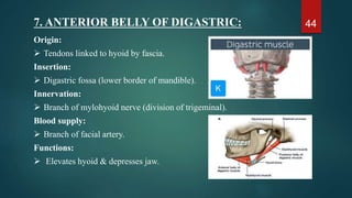 Muscles of mastication ppt | PPTX