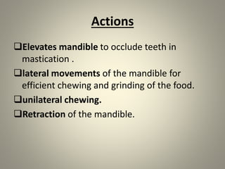 Muscles of mastication | PPTX
