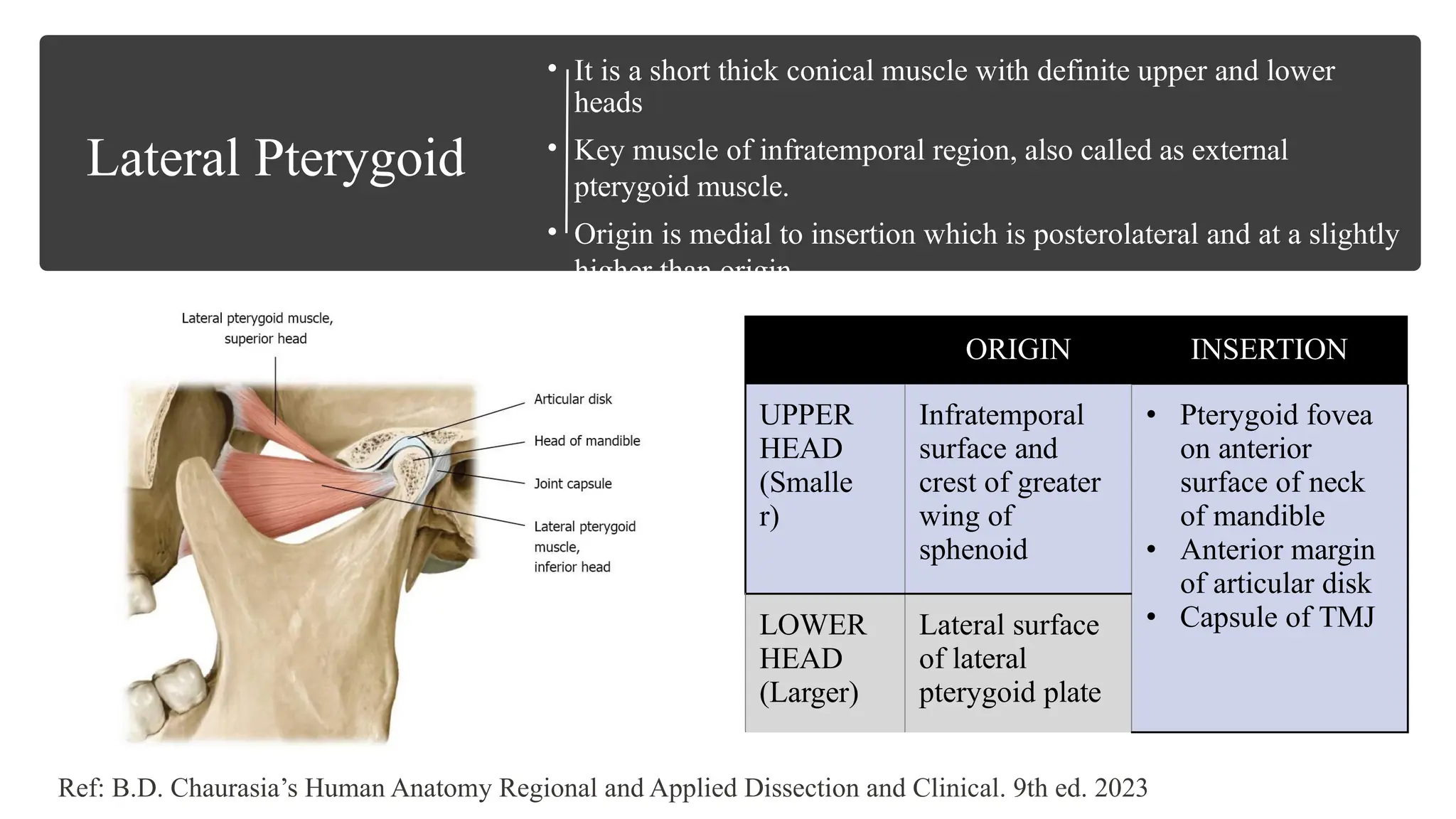 Muscles of Mastication ppt revised.pptx