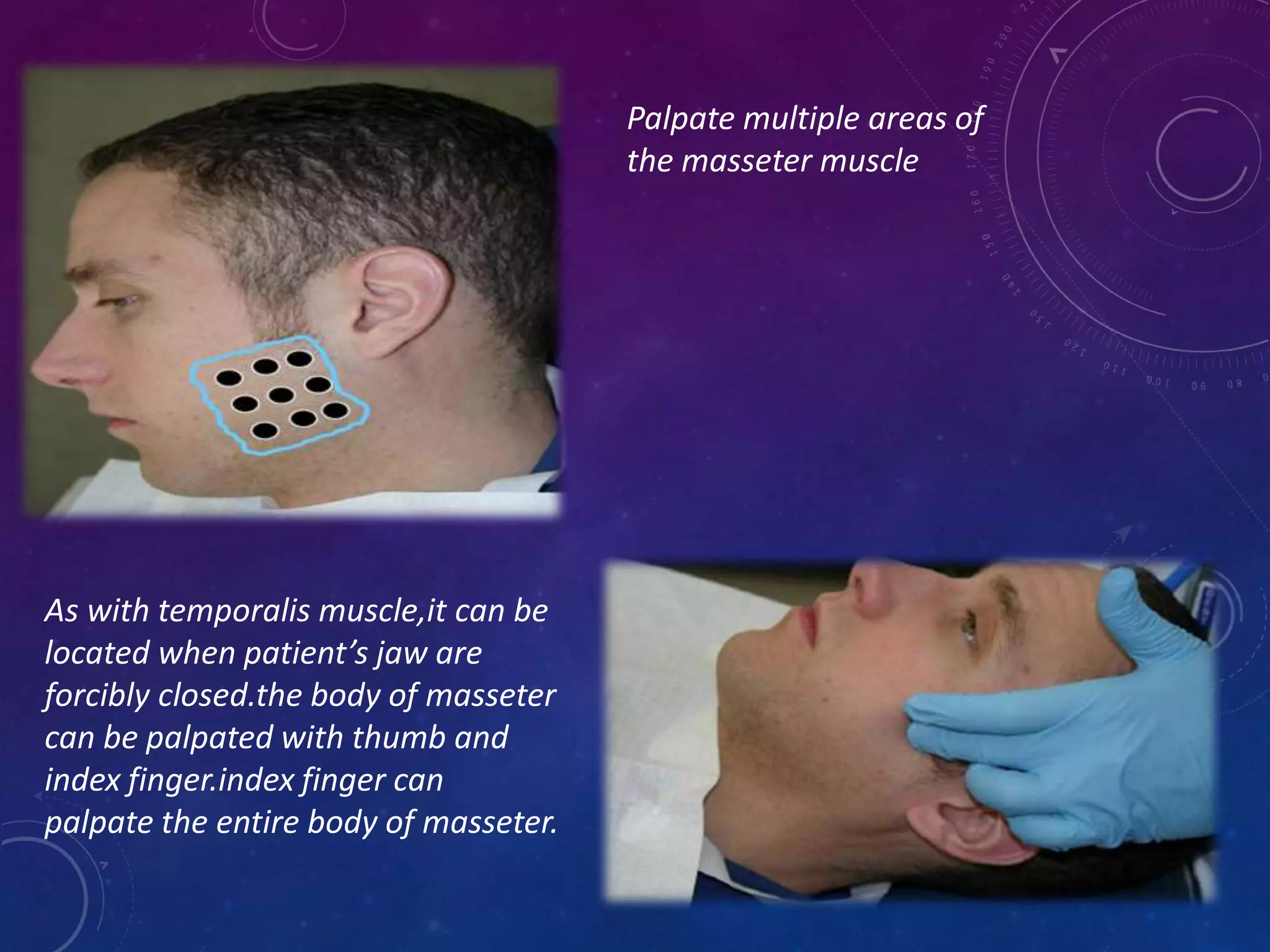 Muscles of mastication presentation | PPTX