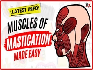 muscles of mastication, applied anatomy,functions | PPTX