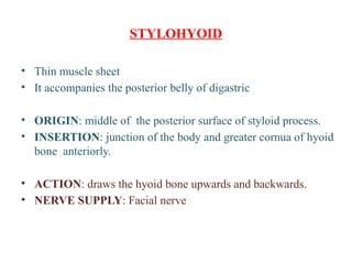 muscles of mastication, applied anatomy,functions | PPTX