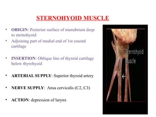 muscles of mastication, applied anatomy,functions | PPTX