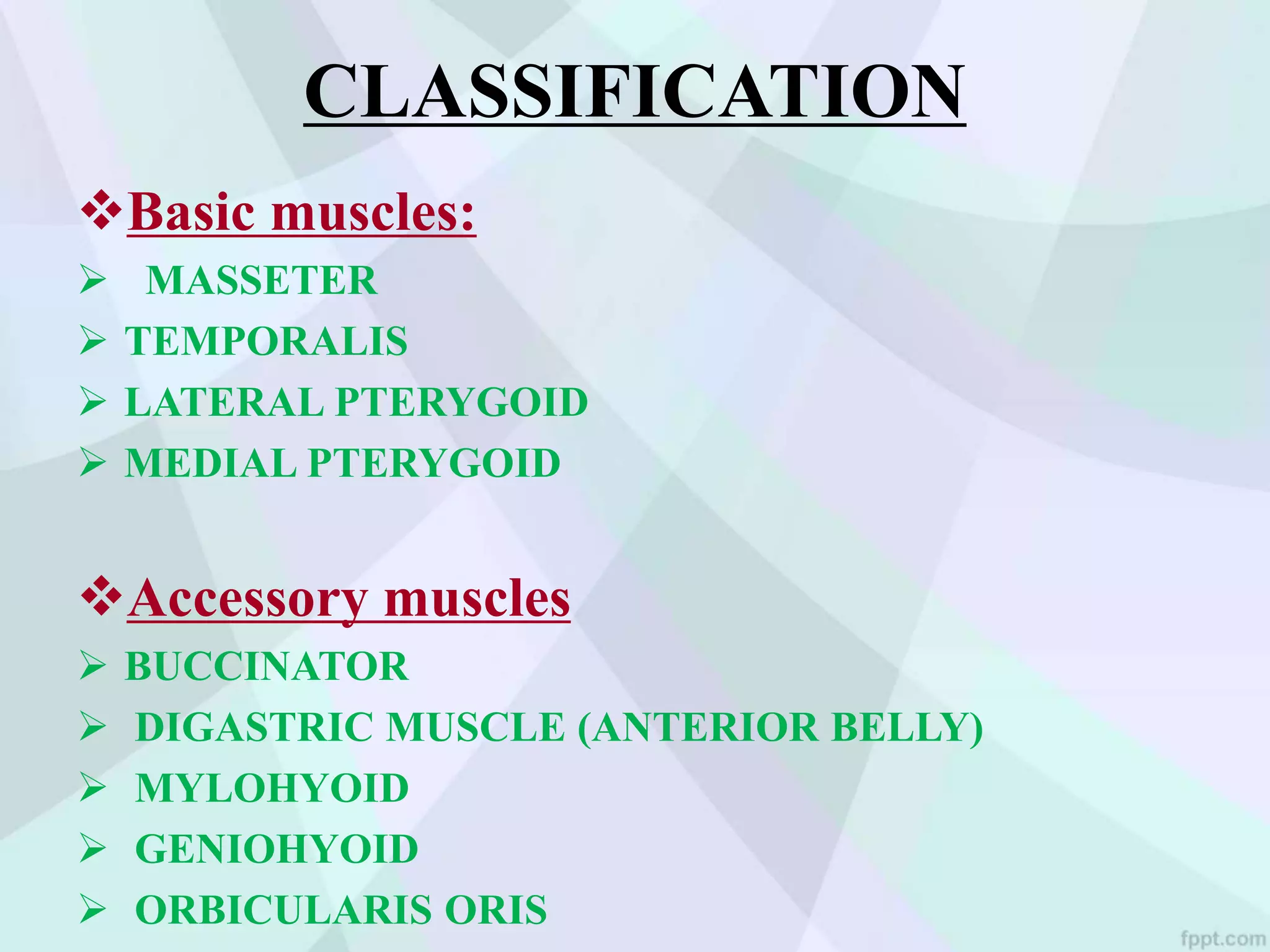 Muscles of mastication | PPT