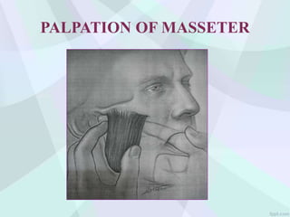 Muscles of mastication | PPT
