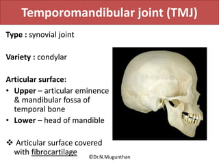 Muscles of mastication & TMJ Dr.N.Mugunthan | PDF
