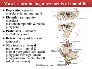Muscles of mastication & TMJ Dr.N.Mugunthan | PDF