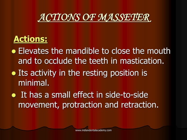 Muscles of mastication /orthodontic continuing education | PPT