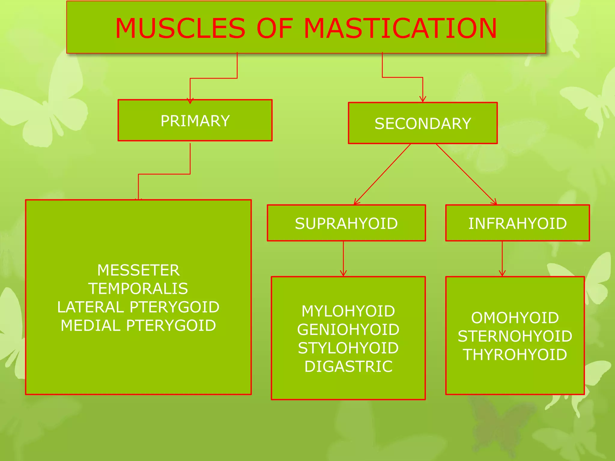 Muscles of mastication by DR. C.P. ARYA ( B.Sc. ;B.D.S. ;M.D.S. ;P.M.S ...