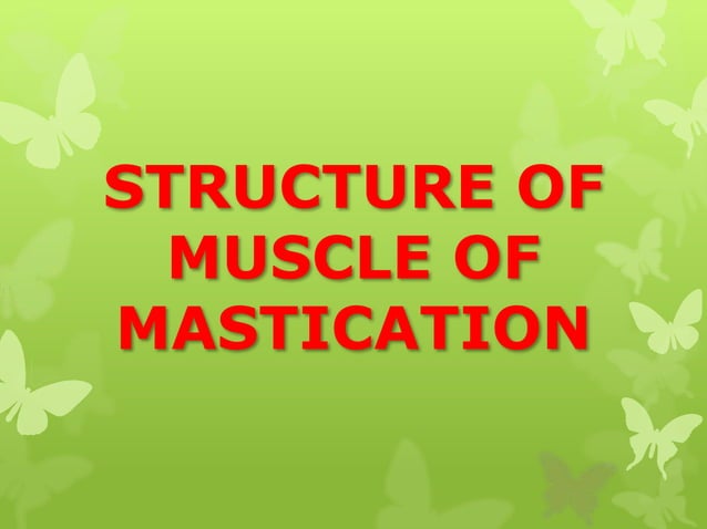 Muscles of mastication by DR. C.P. ARYA ( B.Sc. ;B.D.S. ;M.D.S. ;P.M.S ...