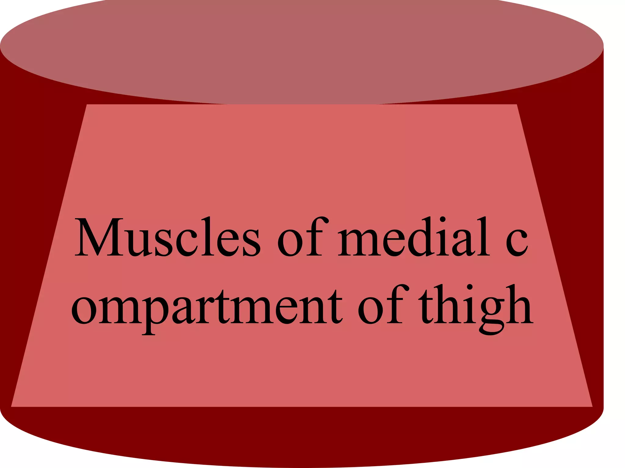 Muscles of medial compartment of thigh(1).pptx