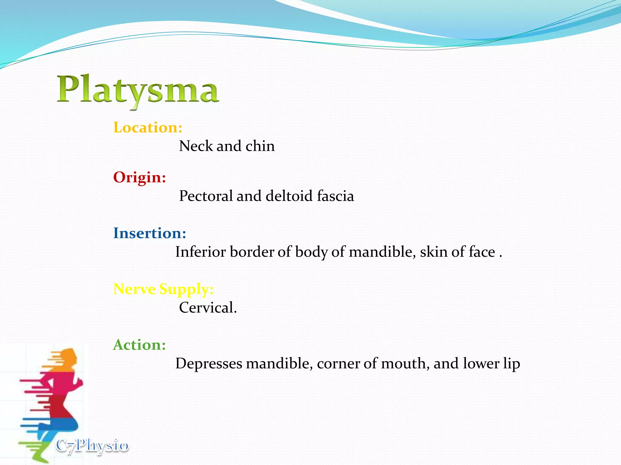 Muscles of neck | PPTX
