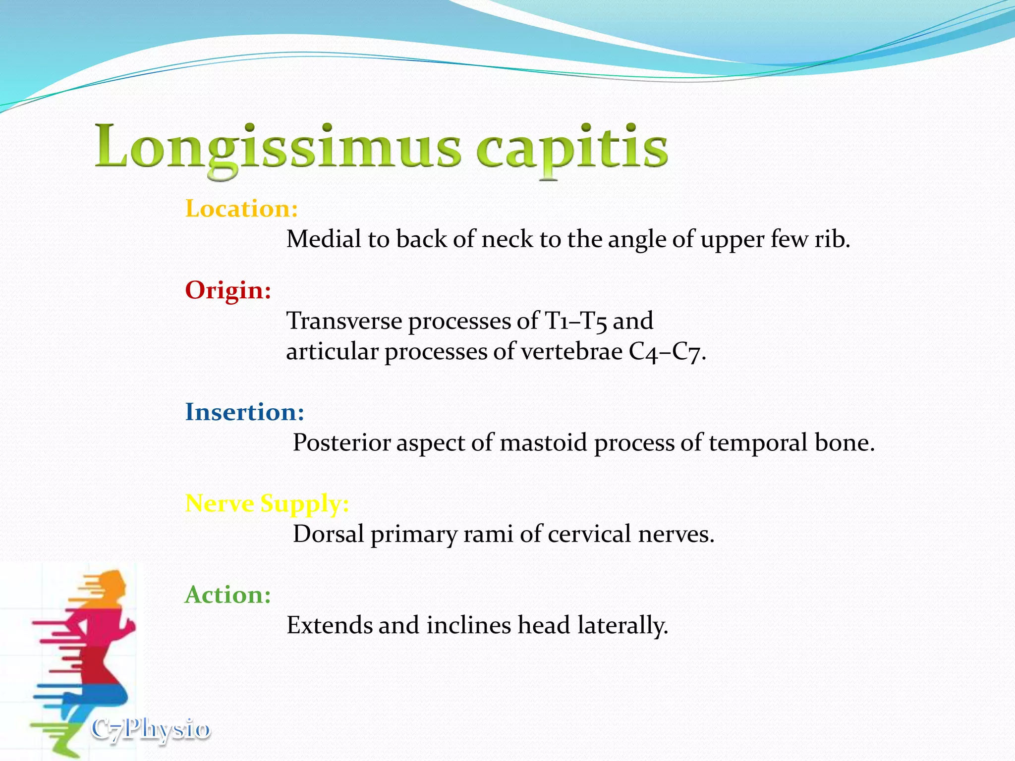 Muscles of neck | PPTX