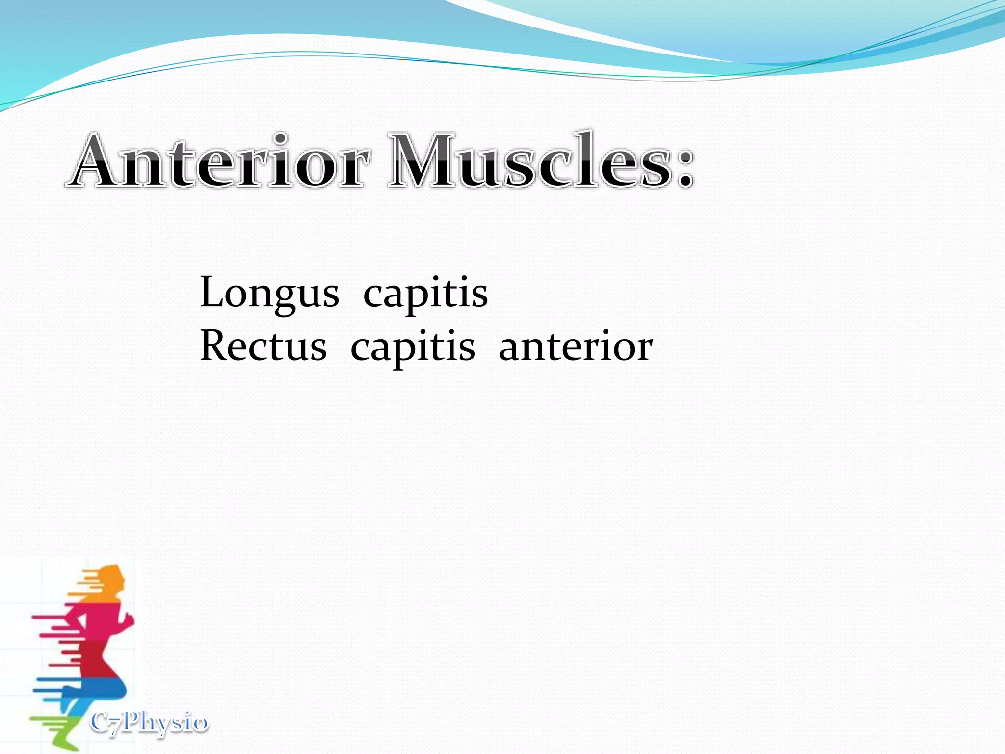Muscles of neck | PPTX