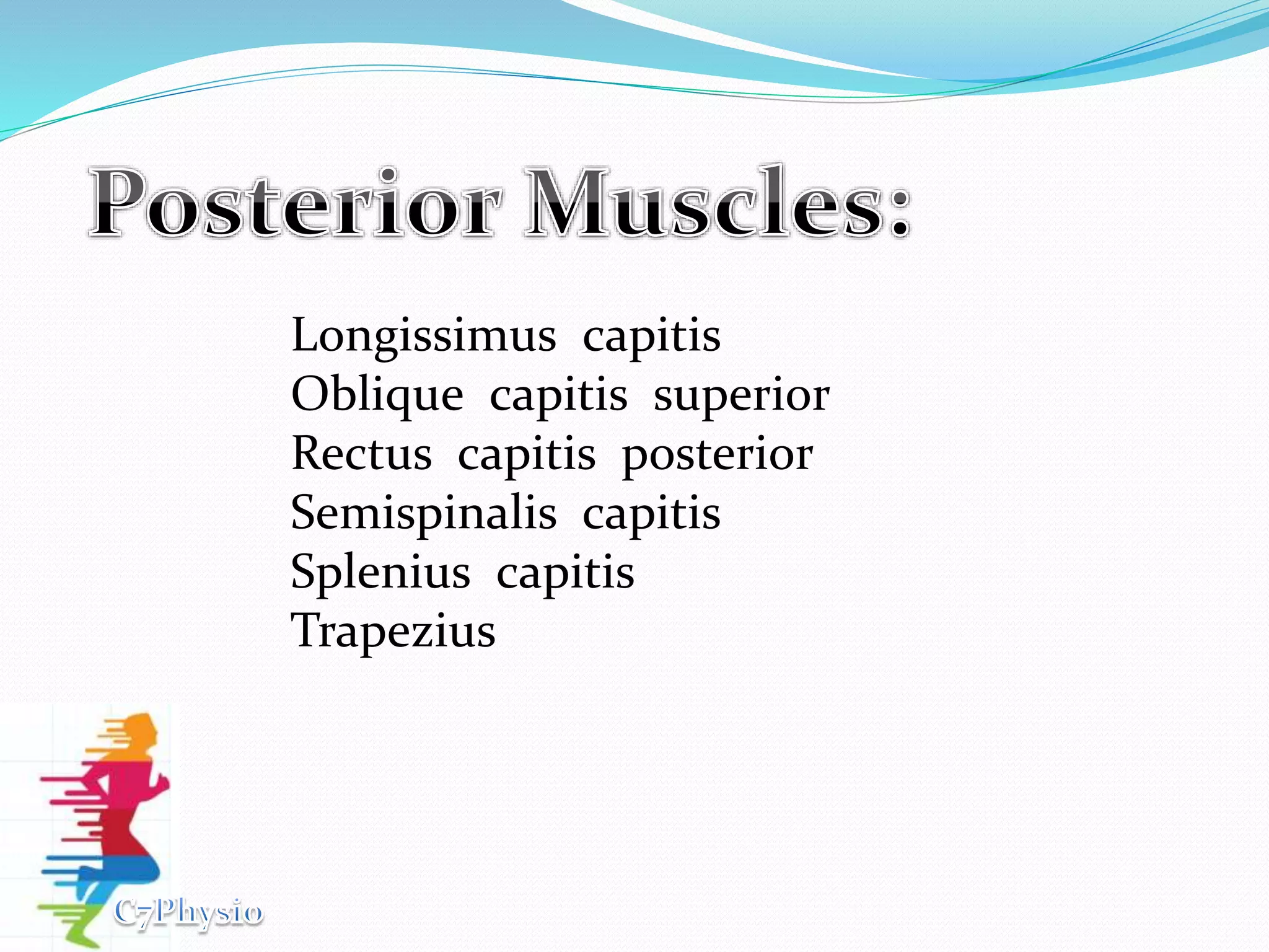 Muscles of neck | PPTX