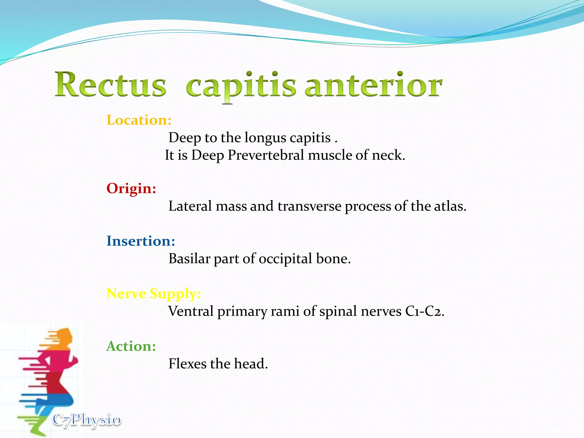Muscles of neck | PPTX