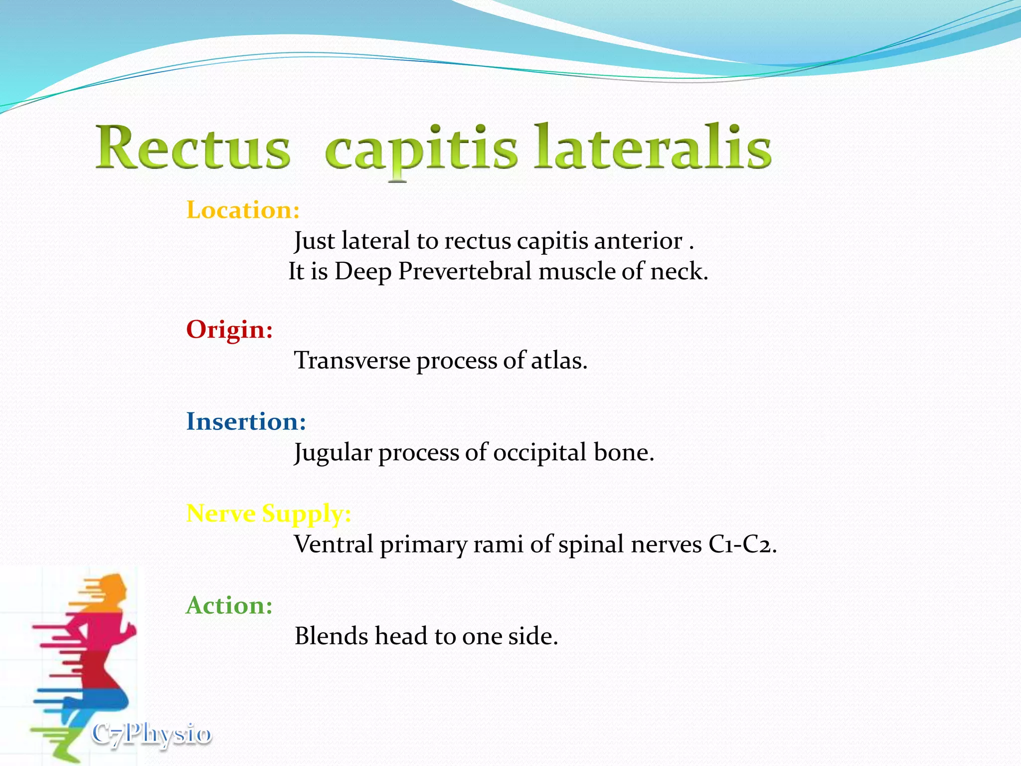 Muscles of neck | PPTX