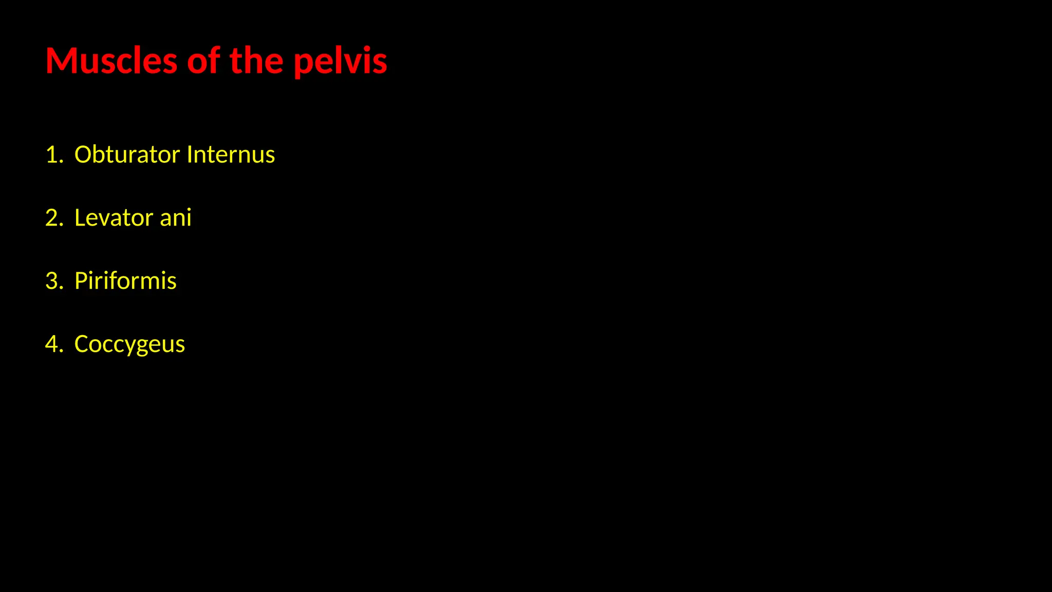 muscles of pelvis and vessels can be use to take lecture | PPTX