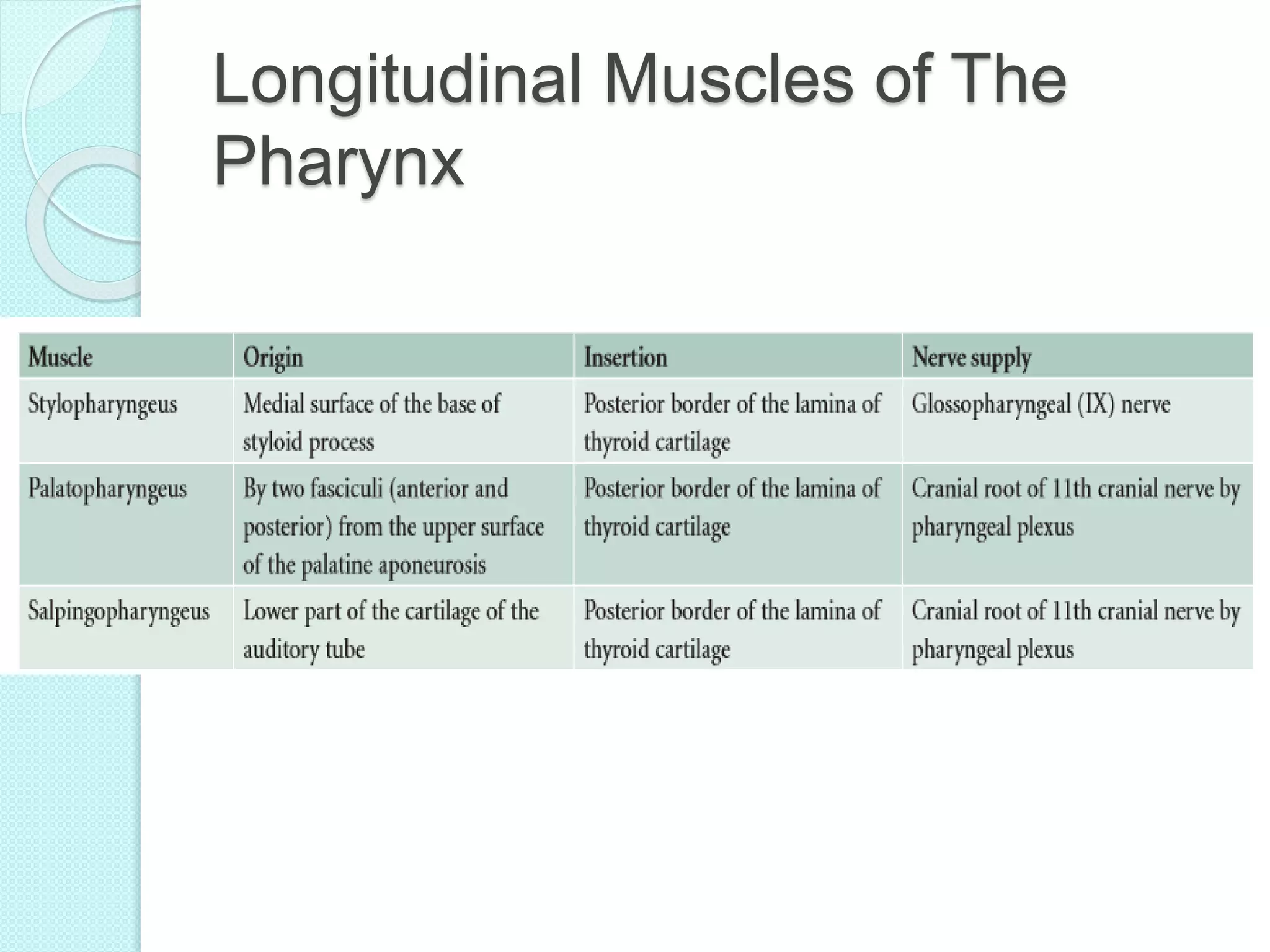Muscles of Pharynx | PPTX