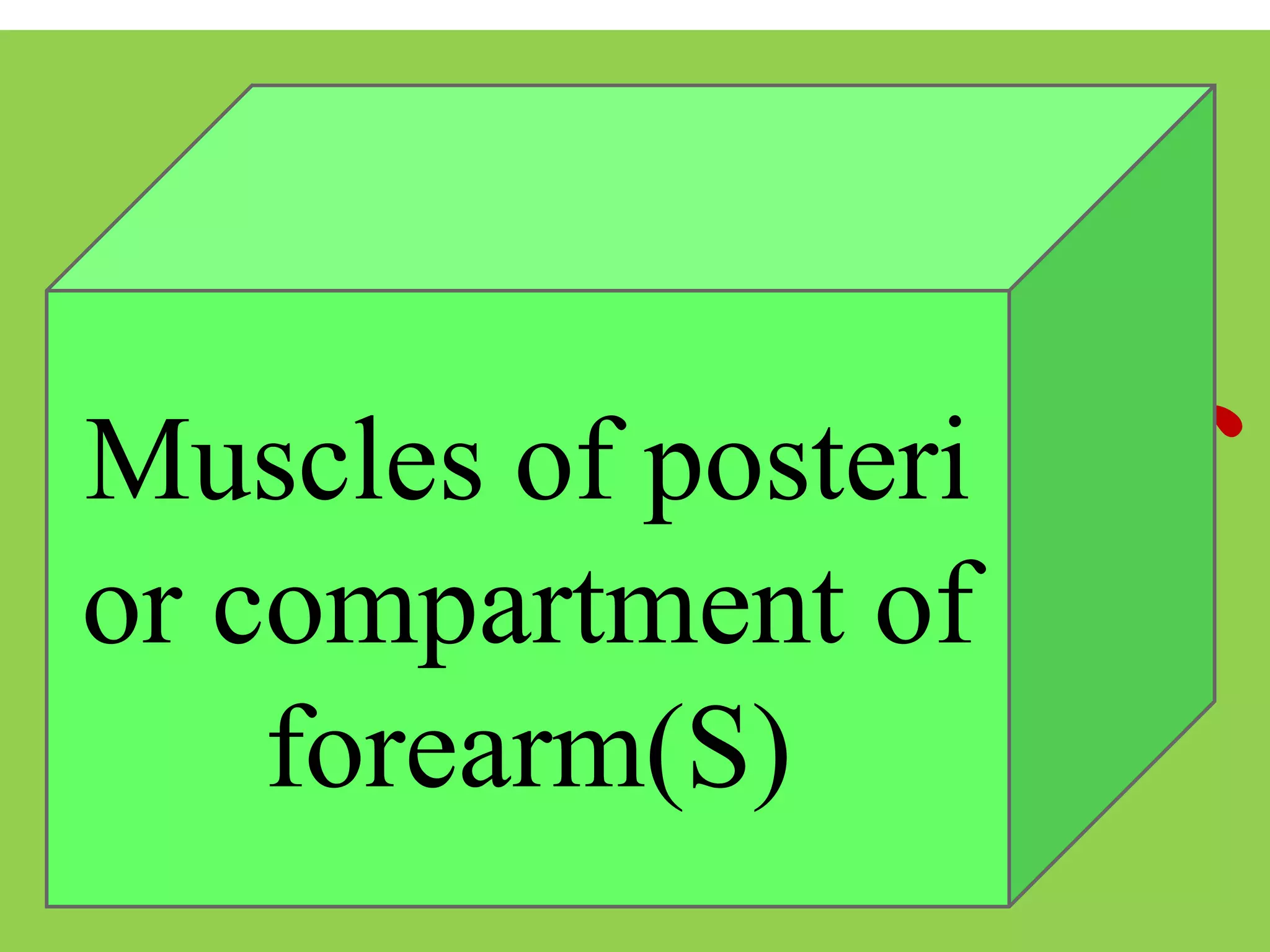 Muscles of posterior compartment of forearm (1).pptx