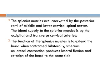 Muscles of posterior Neck region (1) (1).pptx