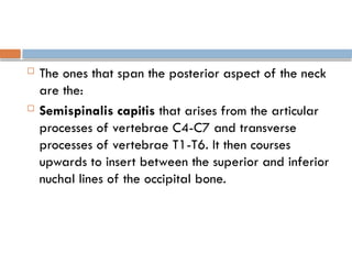 Muscles of posterior Neck region (1) (1).pptx
