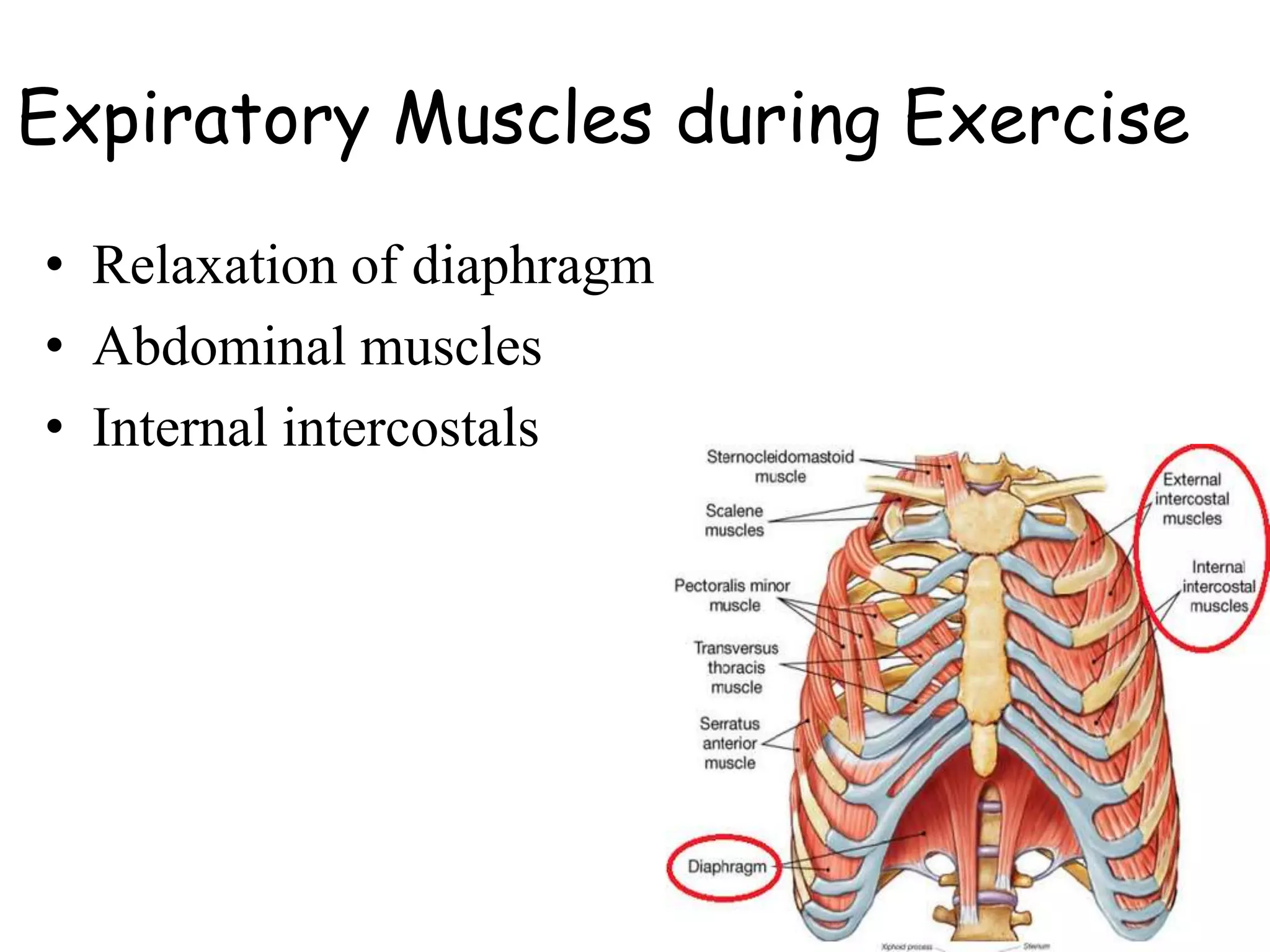 Muscles of respiration Dr. MADHUKIRAN, MD.PULMONOLOGY | PPTX