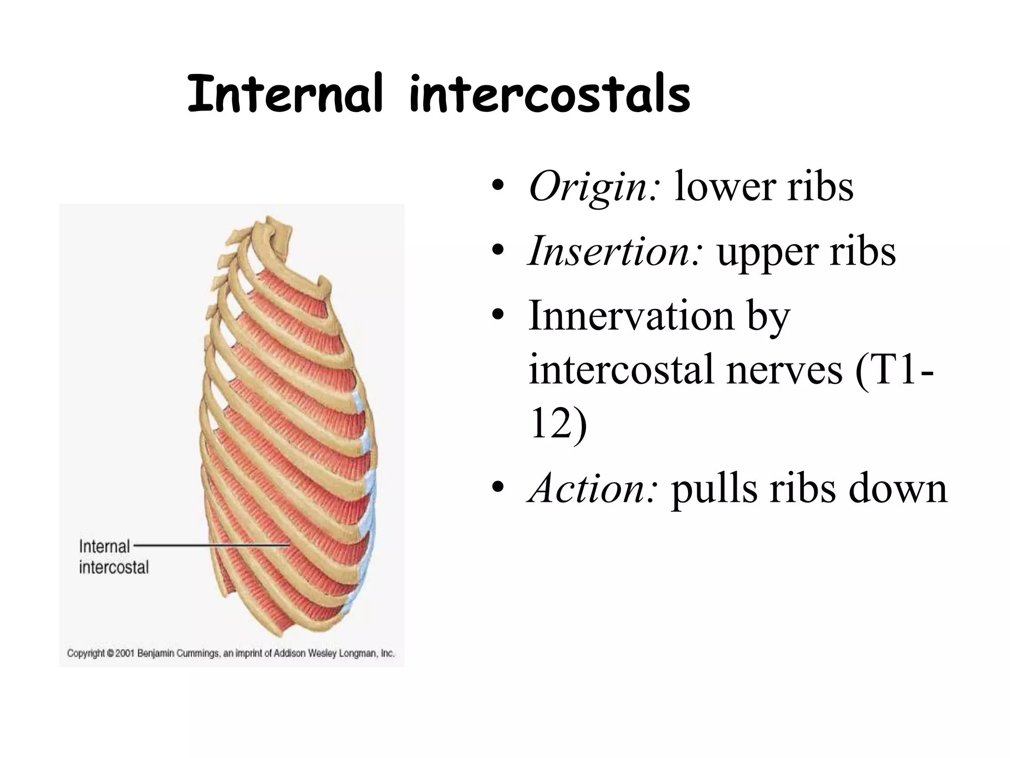 Muscles of respiration Dr. MADHUKIRAN, MD.PULMONOLOGY | PPTX