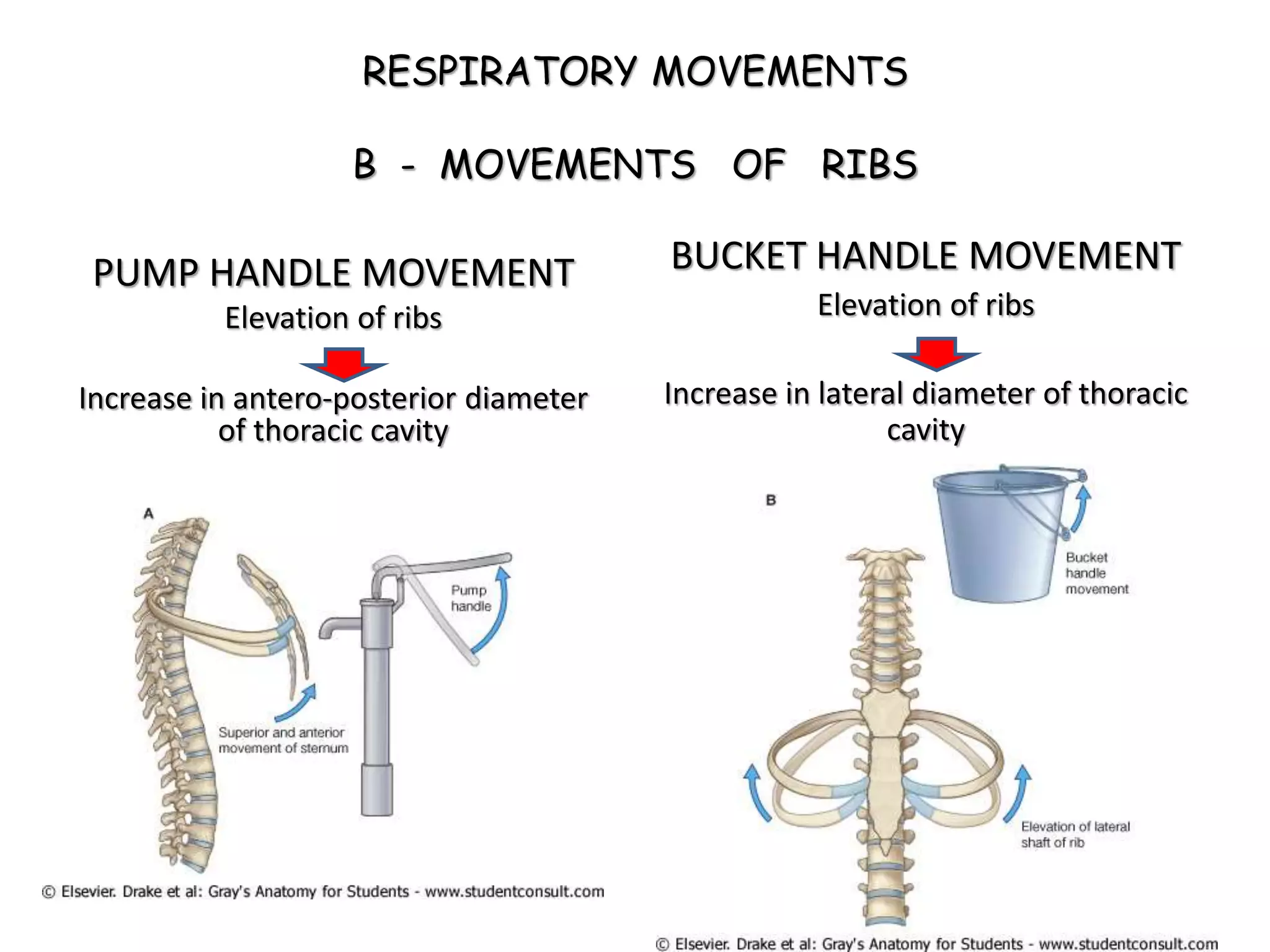 Muscles of respiration Dr. MADHUKIRAN, MD.PULMONOLOGY | PPTX