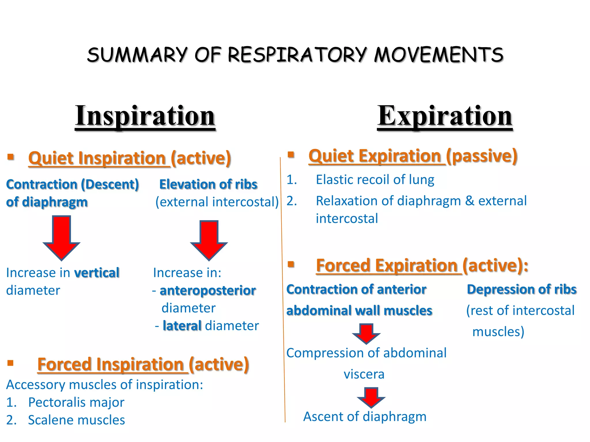 Muscles of respiration Dr. MADHUKIRAN, MD.PULMONOLOGY | PPTX