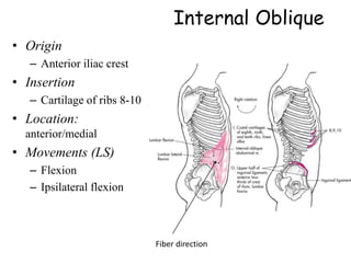 Muscles of respiration Dr. MADHUKIRAN, MD.PULMONOLOGY | PPTX