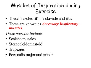 Muscles of respiration Dr. MADHUKIRAN, MD.PULMONOLOGY | PPTX