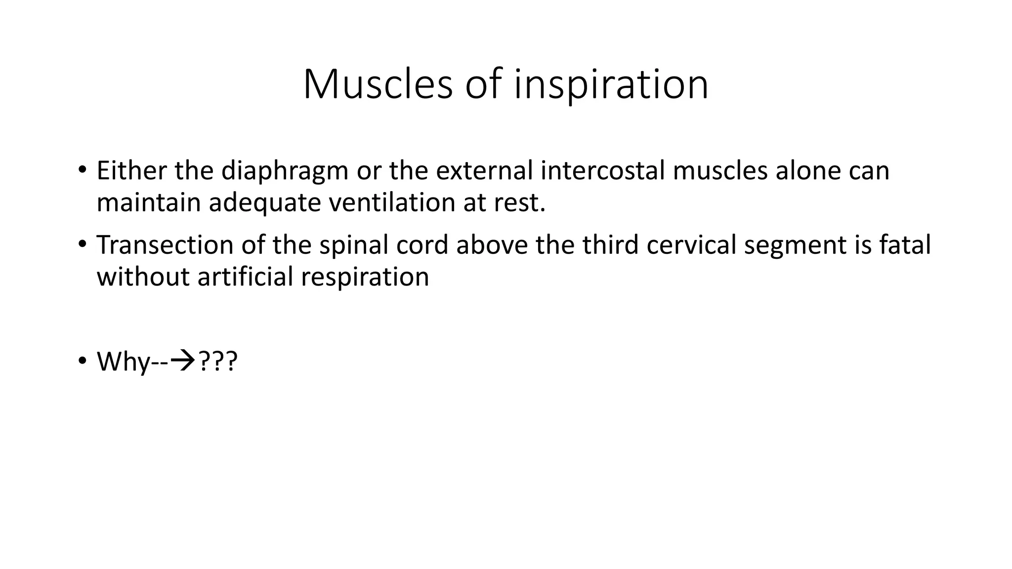 muscles and mechanics of respiration.pptx