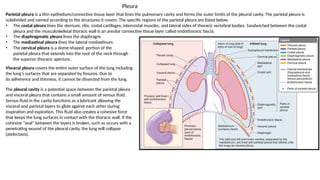 MUSCLES OF RESPIRATORY SYSTEM BY DR..pptx