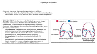 MUSCLES OF RESPIRATORY SYSTEM BY DR..pptx