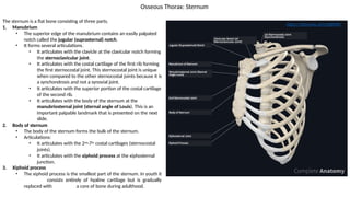 MUSCLES OF RESPIRATORY SYSTEM BY DR..pptx